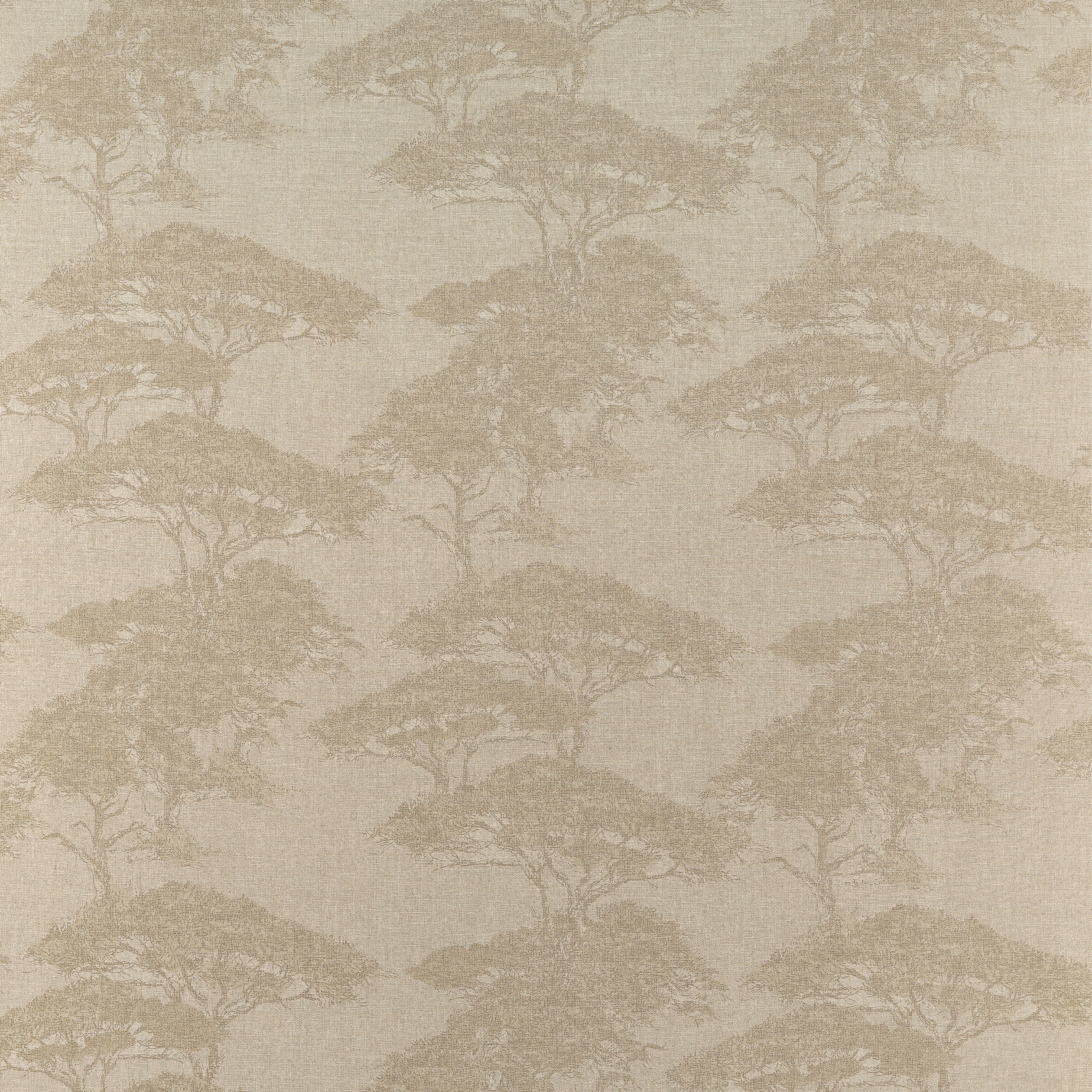 Thibaut Torrey Pines Fabric - Champagne